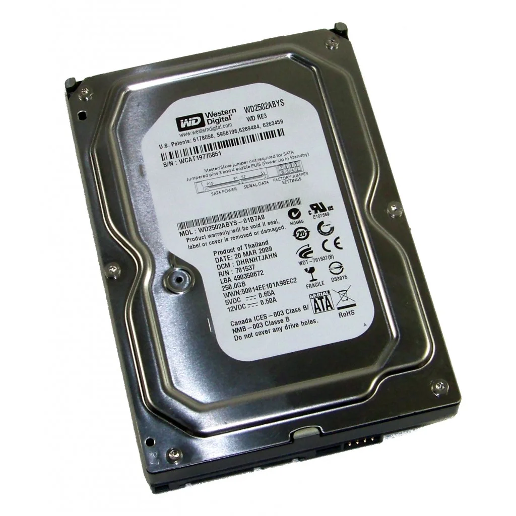 Hard Disk interno Western Digital da 250GB SATA 3 da 3,5 Pollici ...