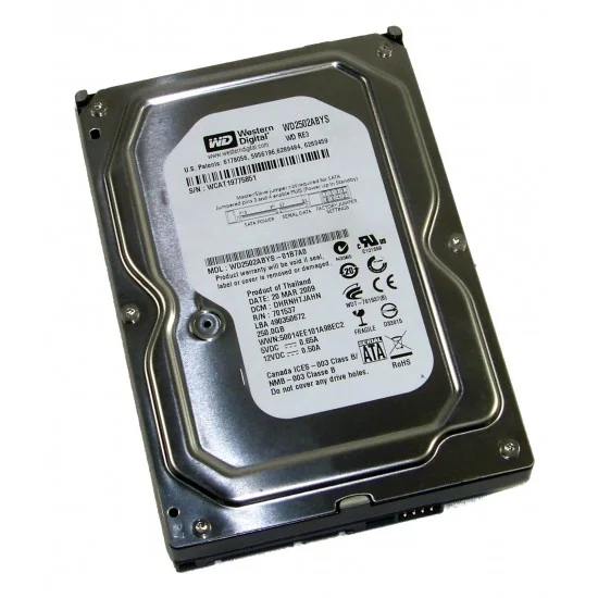 Hard Disk interno Western Digital da 250GB SATA 3 da 3,5 Pollici ...