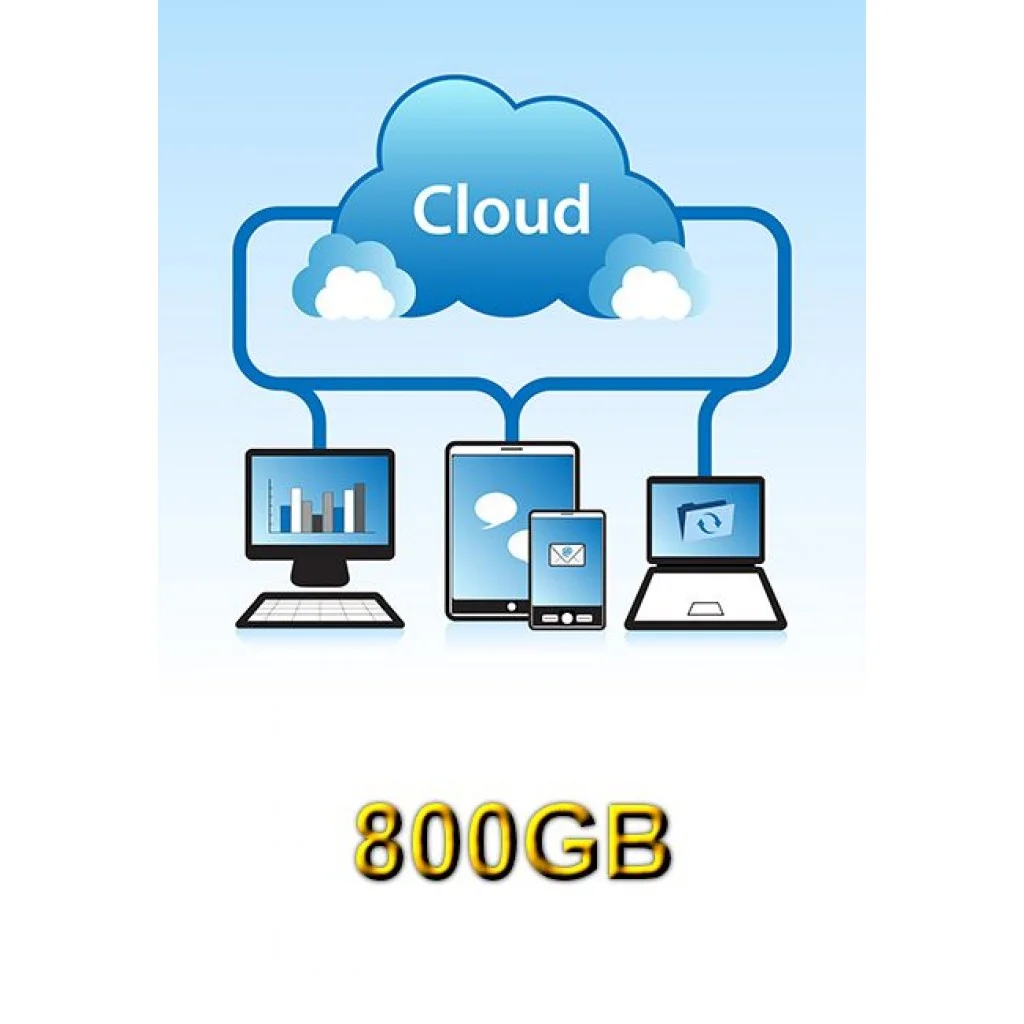 Personal Sync Drive 800 - PSD800